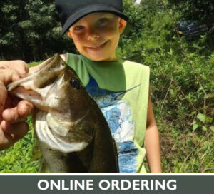 ALABAMA FISH AND POND – Fat Healthy Pond Stocking Fish