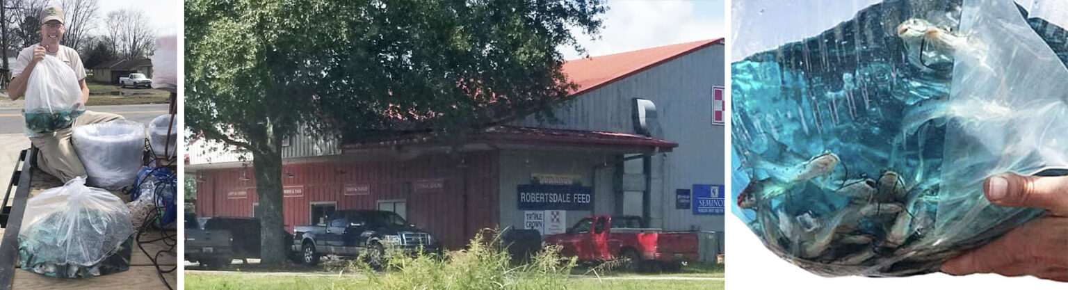 MAP of STORES – ALABAMA FISH AND POND