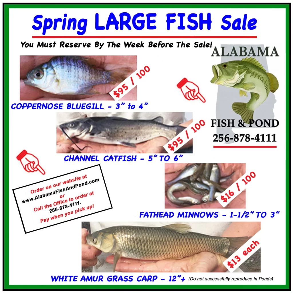 ORDERING – ALABAMA FISH AND POND